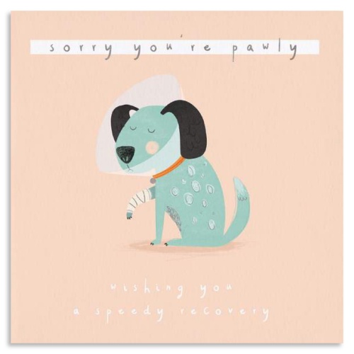 Sorry You're Pawly Card Greeting Card| Buy Online